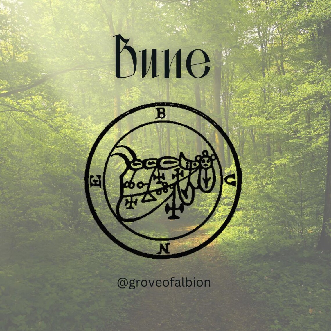 Duke/dutchess Bune Information Sheets - Etsy