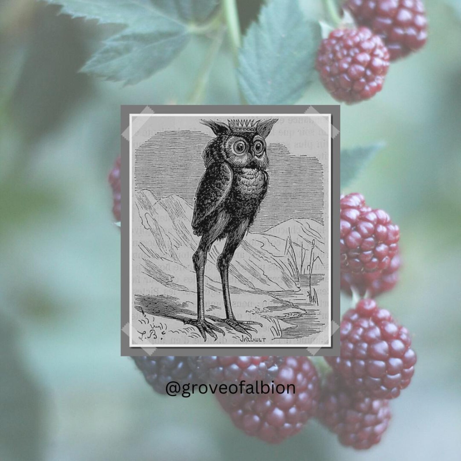 Prince Stolas Information Sheets - Etsy