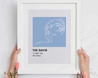 David Statue Poster - Etsy
