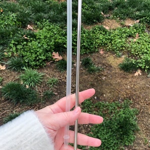 Tangled Rapunzel and Pascal Stainless Steel Tumbler - Etsy