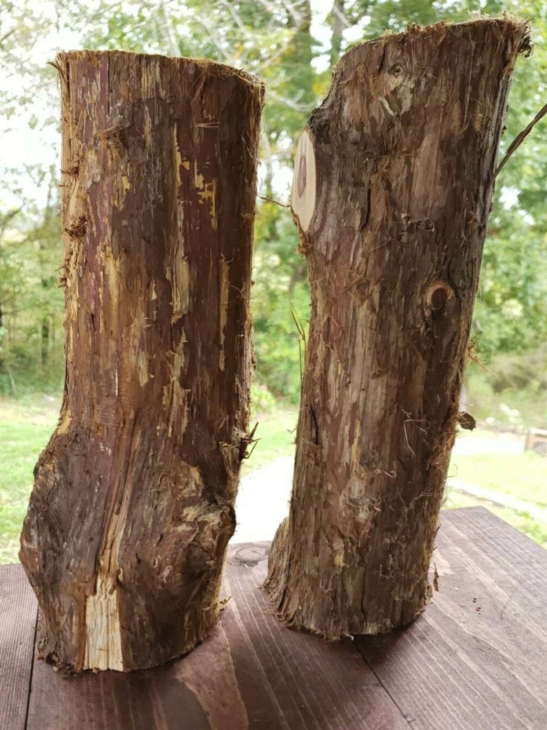 Eastern Red Cedar Logs Live Edge Wood Log Fresh Cut Eastern - Etsy