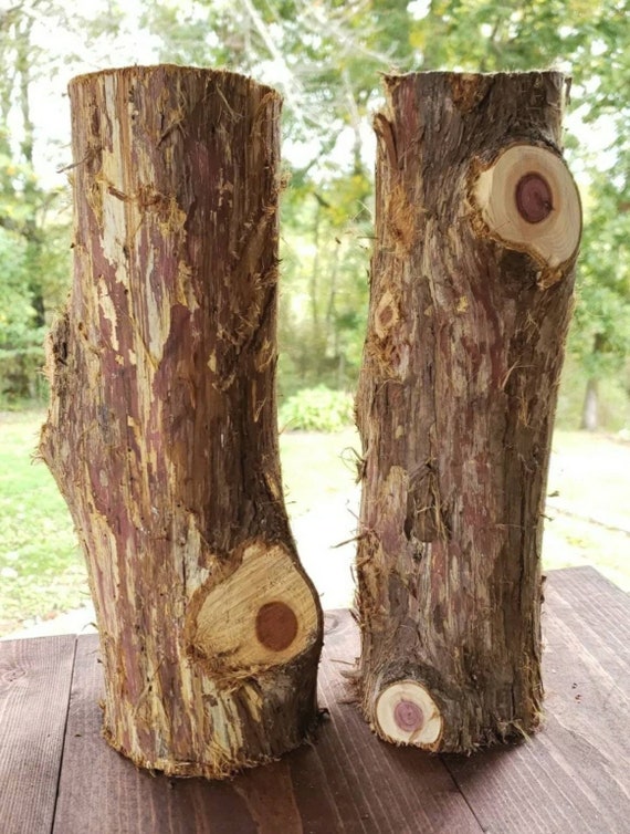 Eastern Red Cedar Logs Live Edge Wood Log Fresh Cut Eastern - Etsy