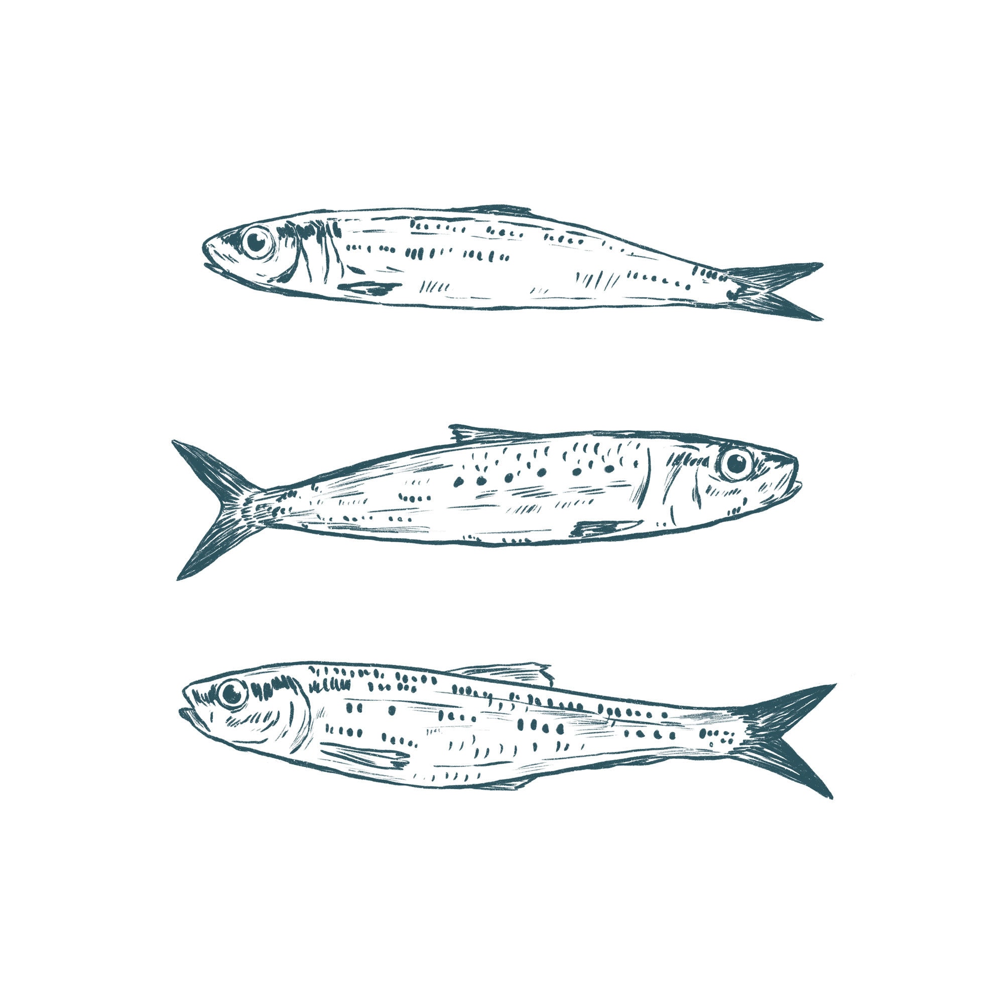 Fish Coastal Art Print / Coastal Wall Art / Beach House Decor / Ocean ...