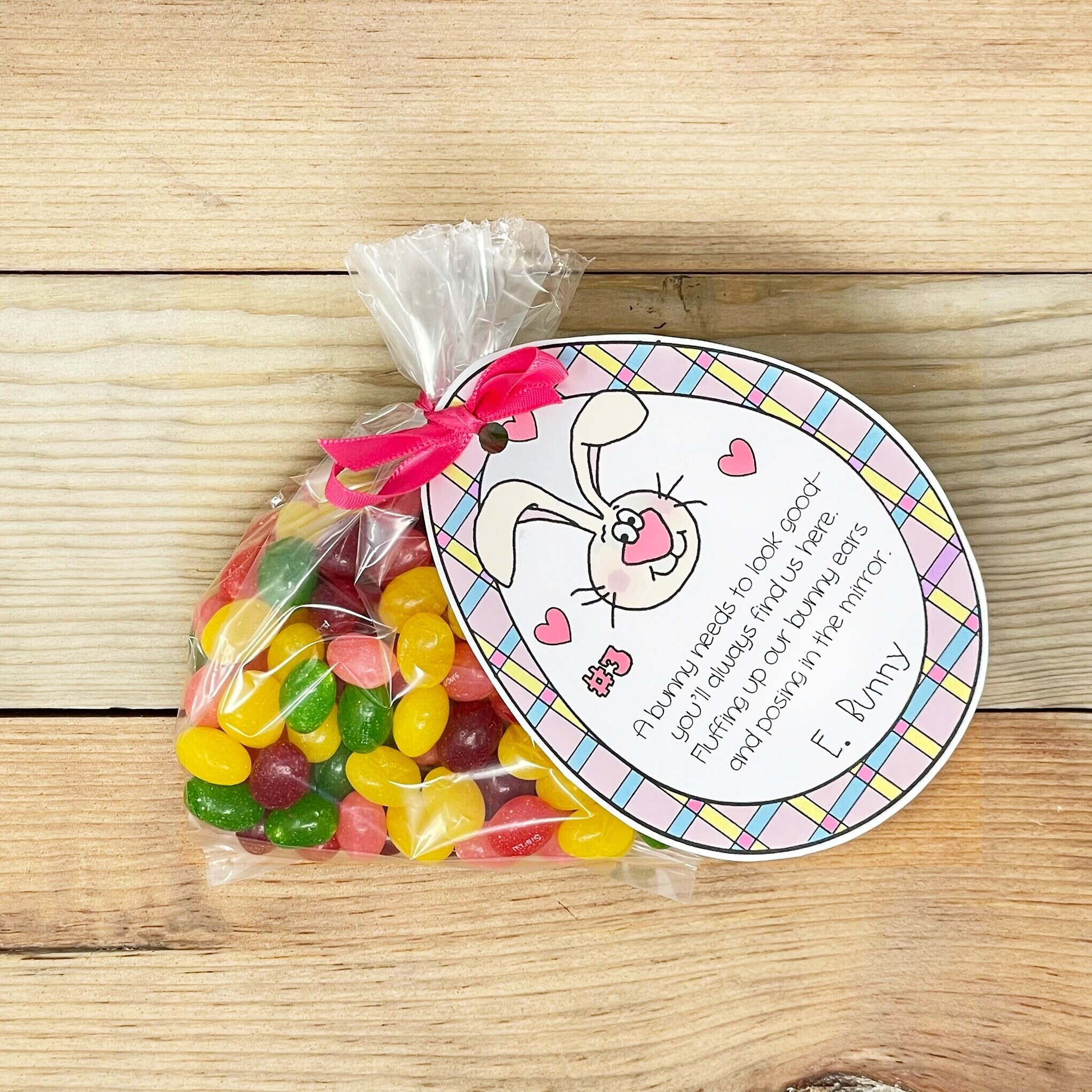 PRINTABLE Easter Activity notes From the E. Bunny printable Easter ...