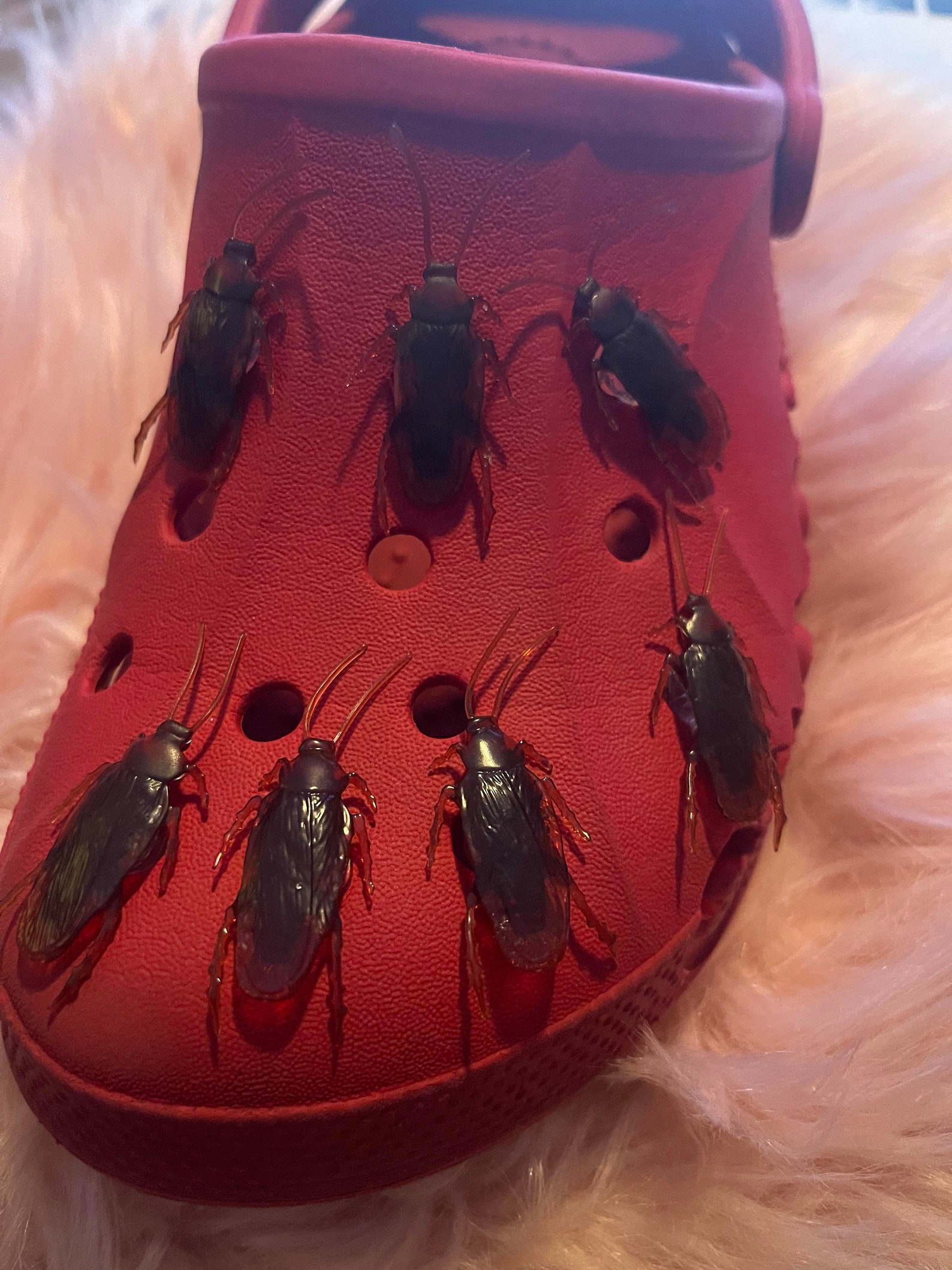 Handmade Cockroach Roach Water Bug Croc Charm Great for Pranks - Etsy