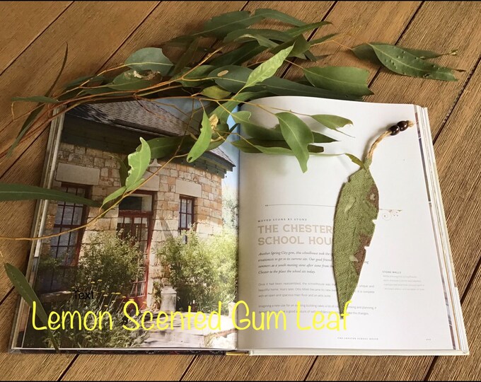 Eucalyptus Leaf Bookmark - Canvas Bookmark 2x6in (5x15cm) - Gumtree ...