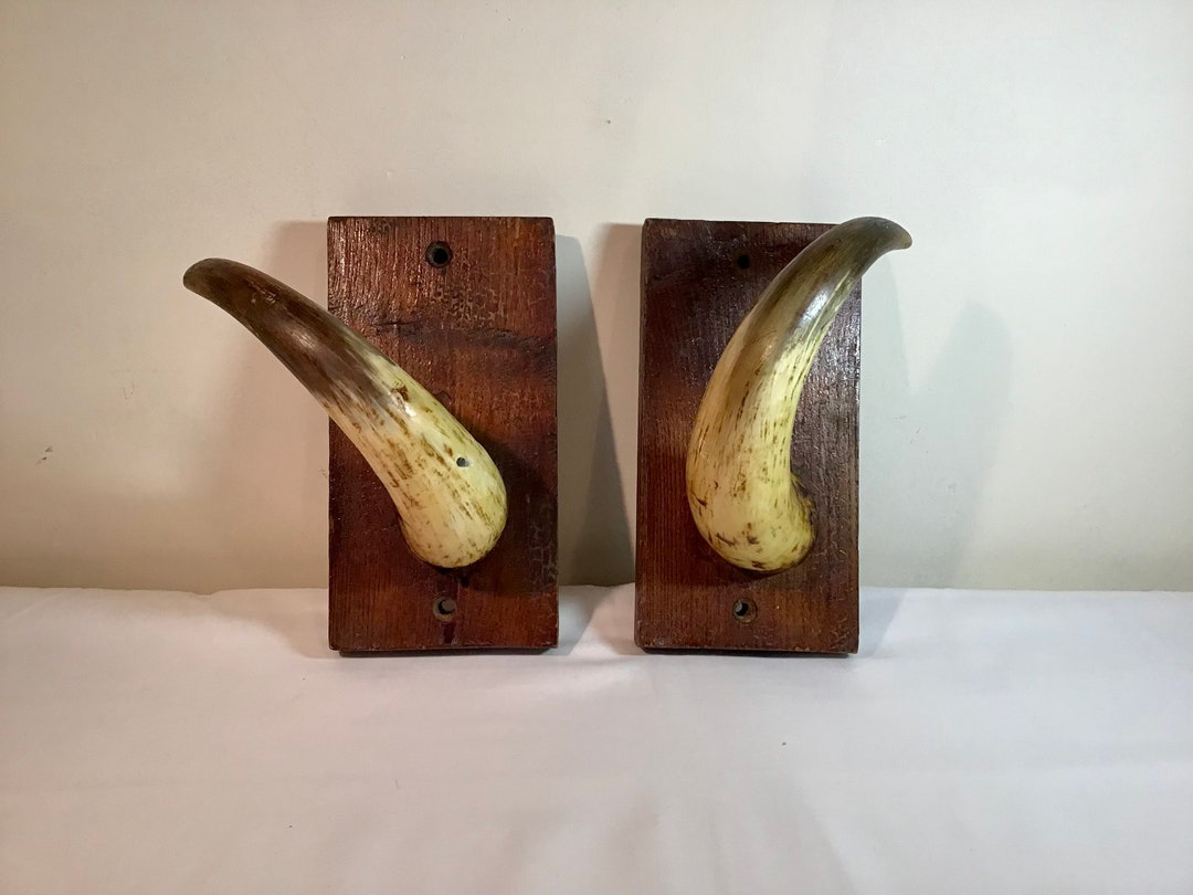 French Vintage Pair of Bovine / Cow Horn Wall Hooks / Coat Hooks ...
