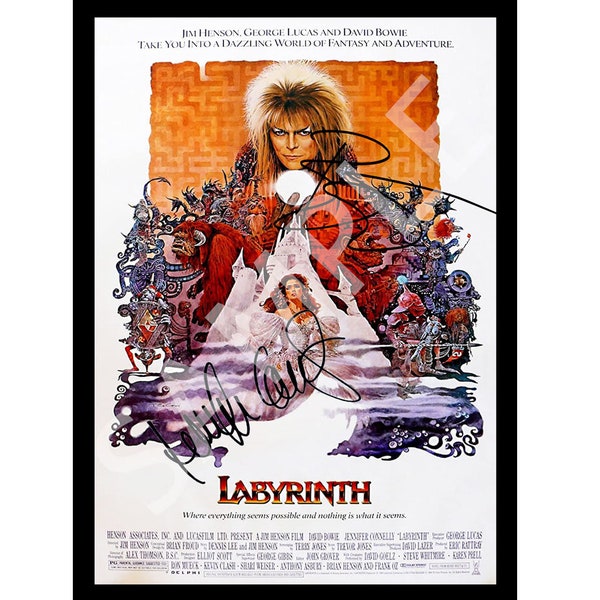 Labyrinth Poster - Etsy UK