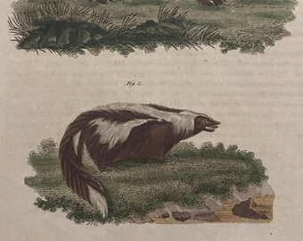 Carcajou Art Print | Etsy