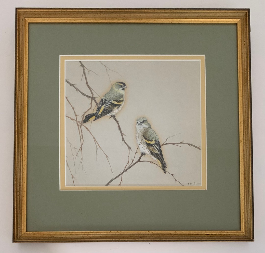 Original Vintage Framed Watercolour of Pine Siskin / Finch Birds by ...