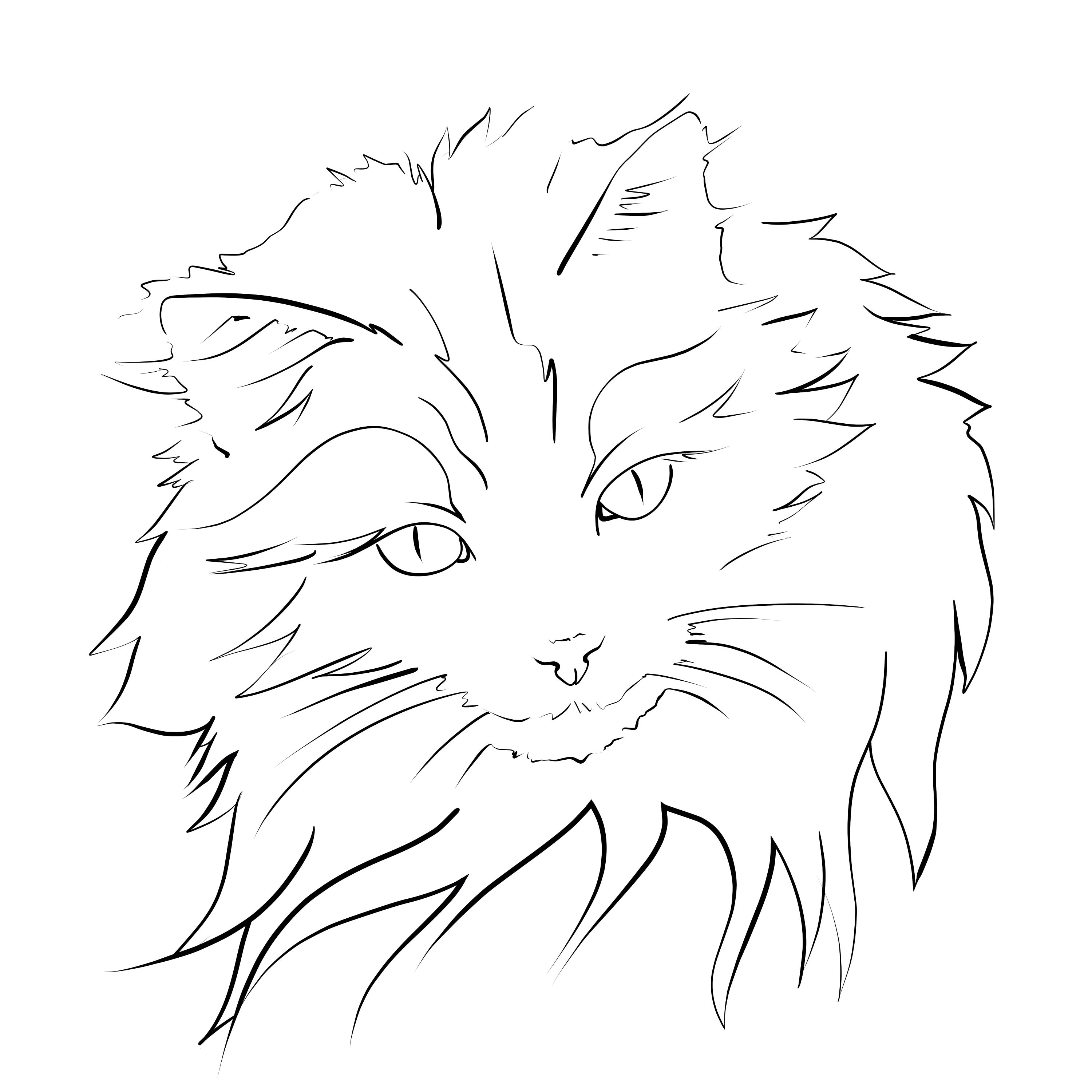 Custom Cat Line Drawing From Photo, Personalized Pet Portrait (digital ...