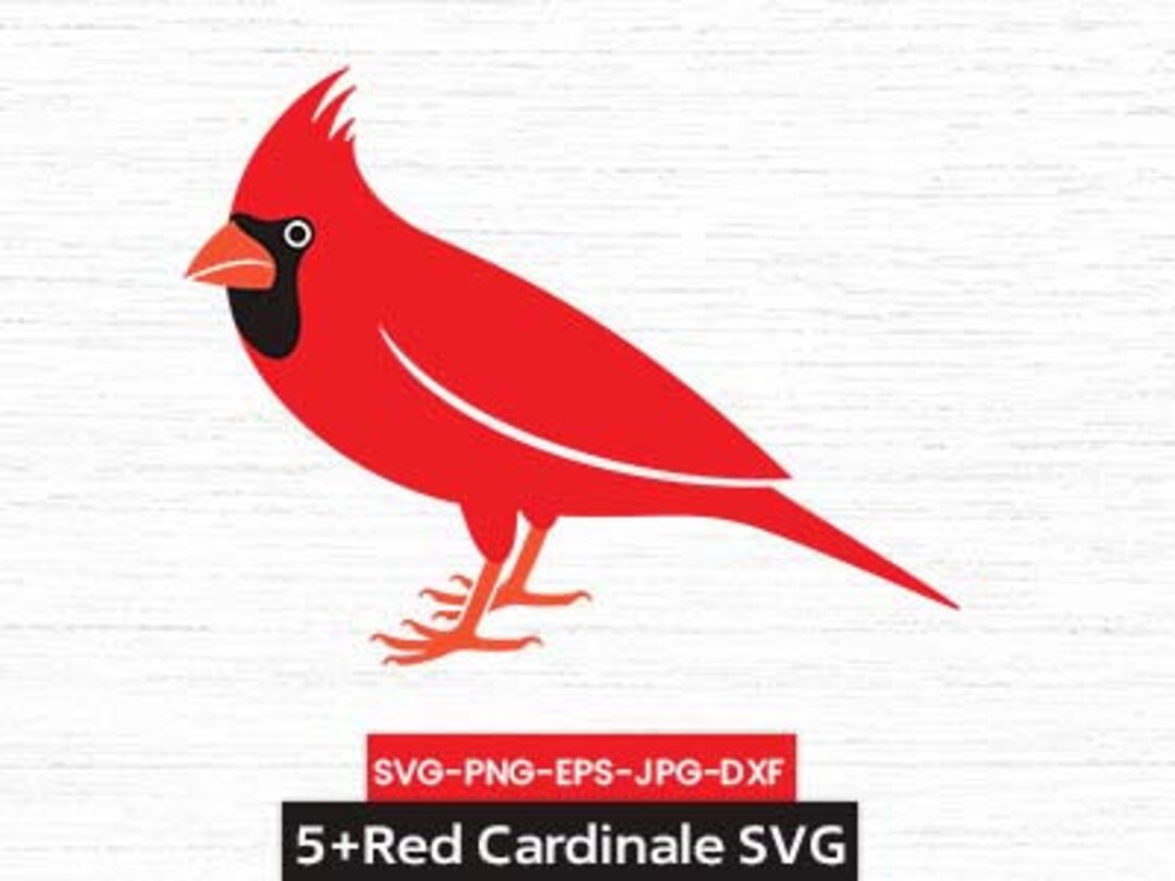 Red Cardinal Svg Bundle, Red Cardinal Svg, Red Cardinal Heart Svg ...