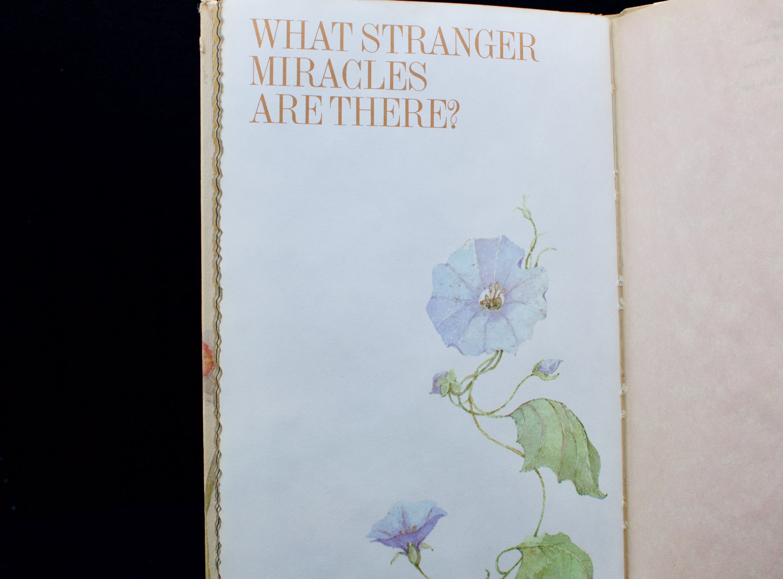 Walt Whitman's miracles/poetry/hallmark Crown/1973/collectible Book - Etsy