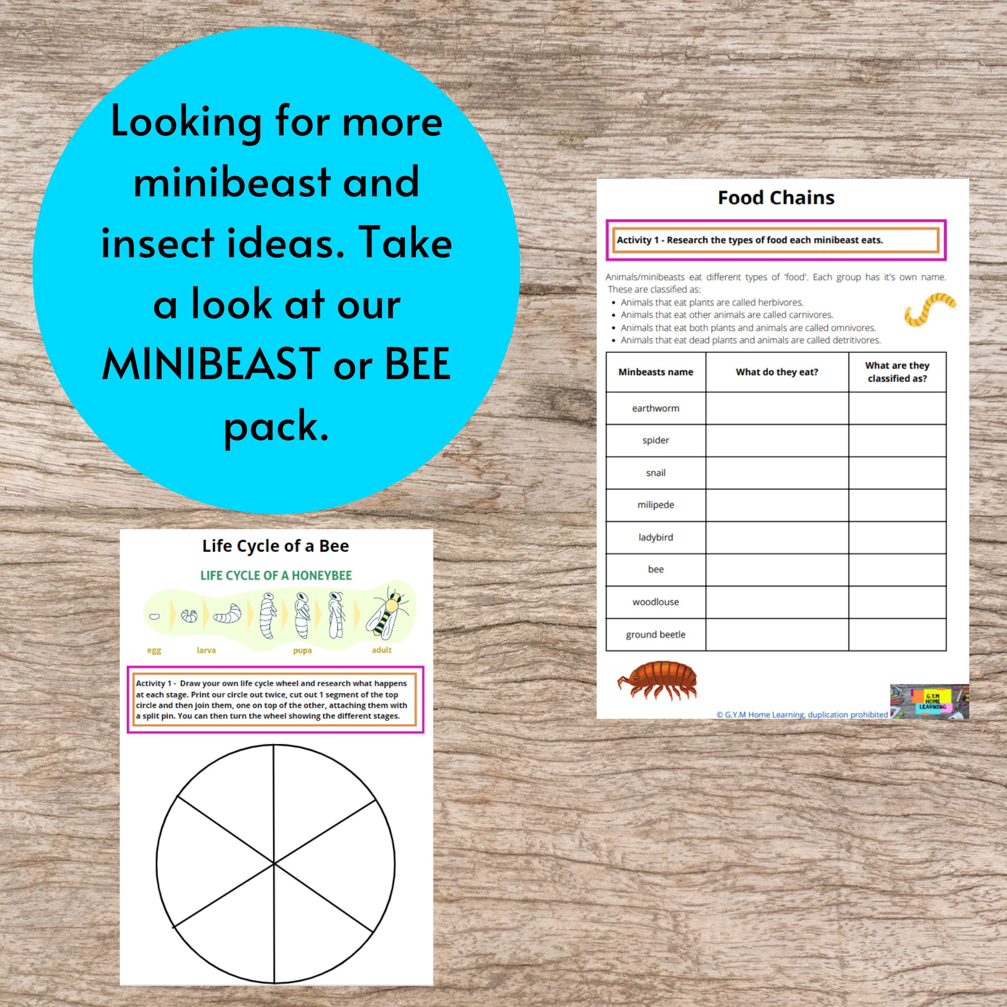 Nature and Earthworm Activities Digital Invertebrates Mini Unit Study ...