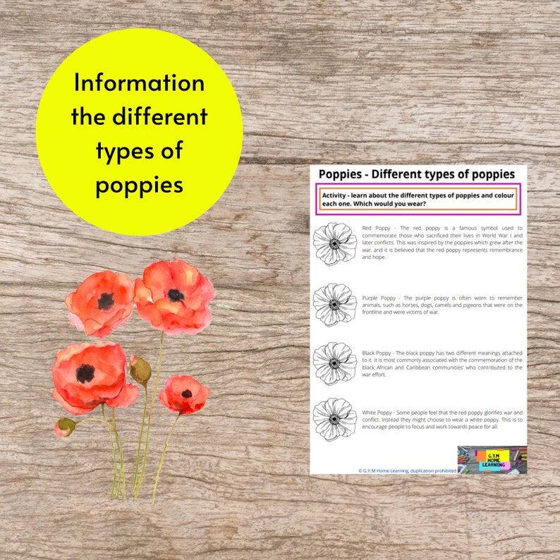 Remembrance Day Poppy Poem and Worksheet, Kids Printable WW1 ...