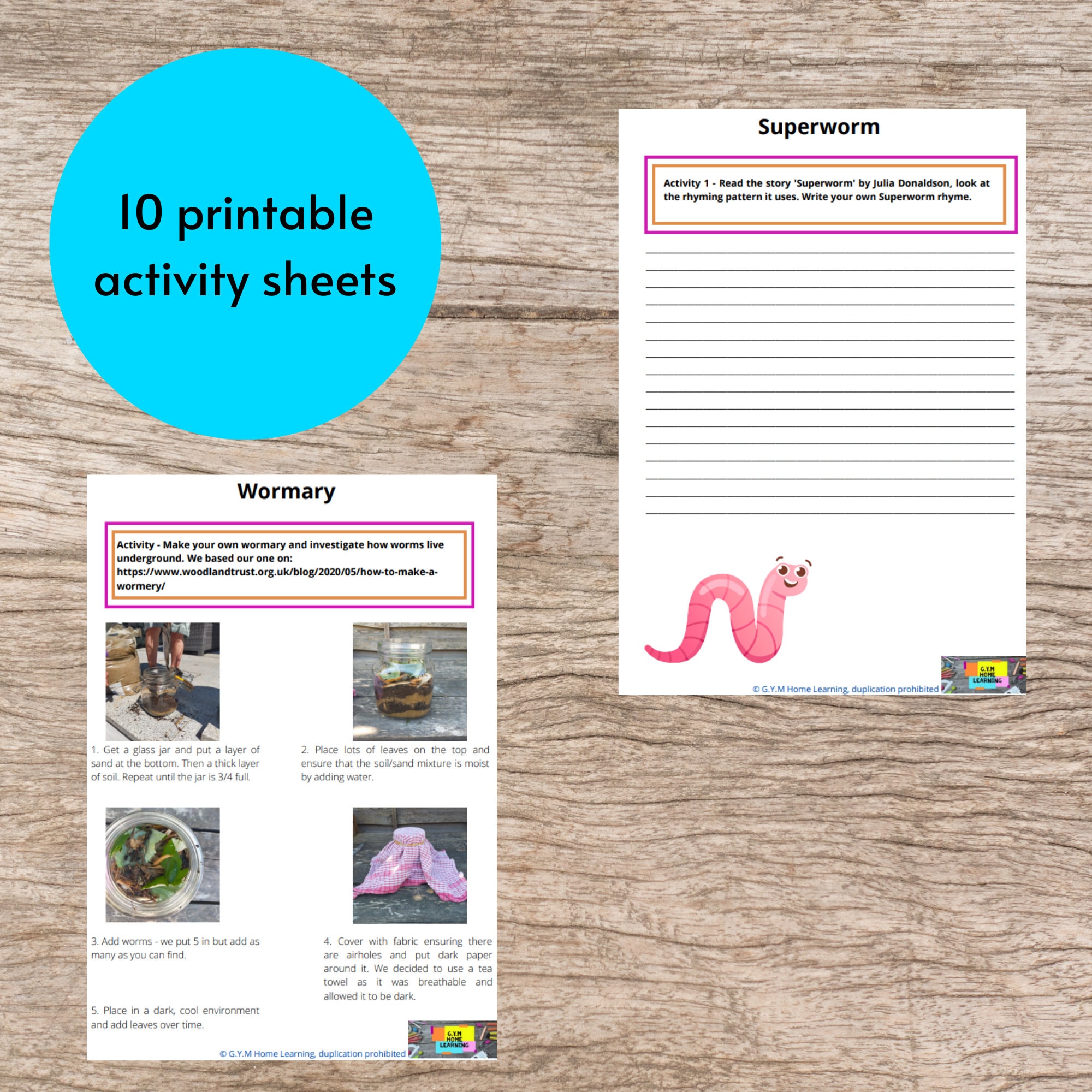 Earthworm Mini Study Unit Activities Digital Worm or Wormery Worksheets ...