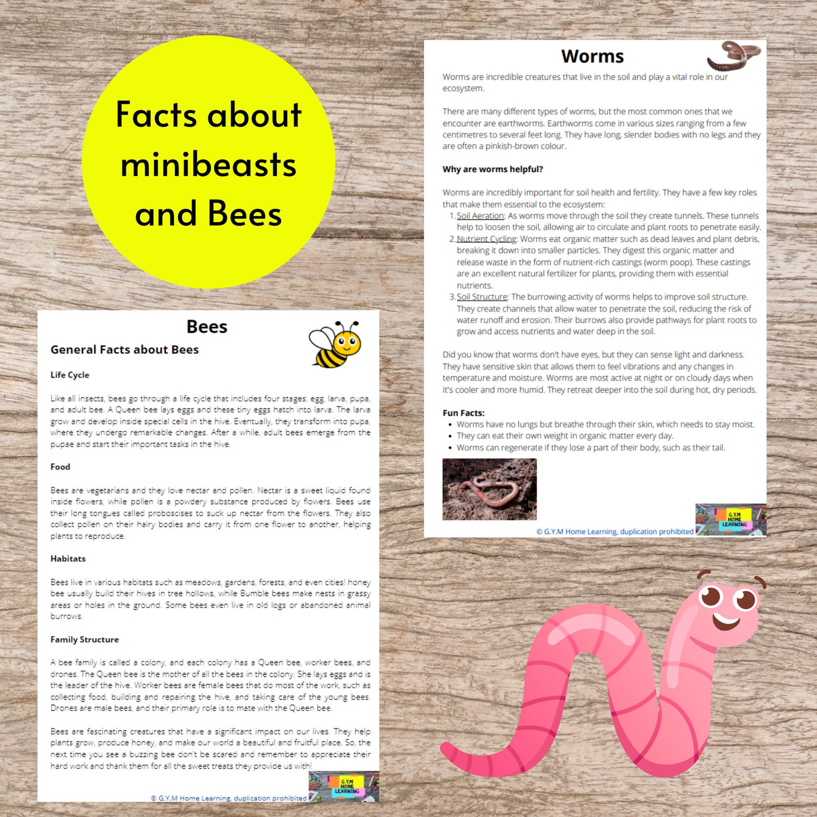 Bees and Minibeast Activity Pack Printable Insect, Worm, Beetle Unit ...