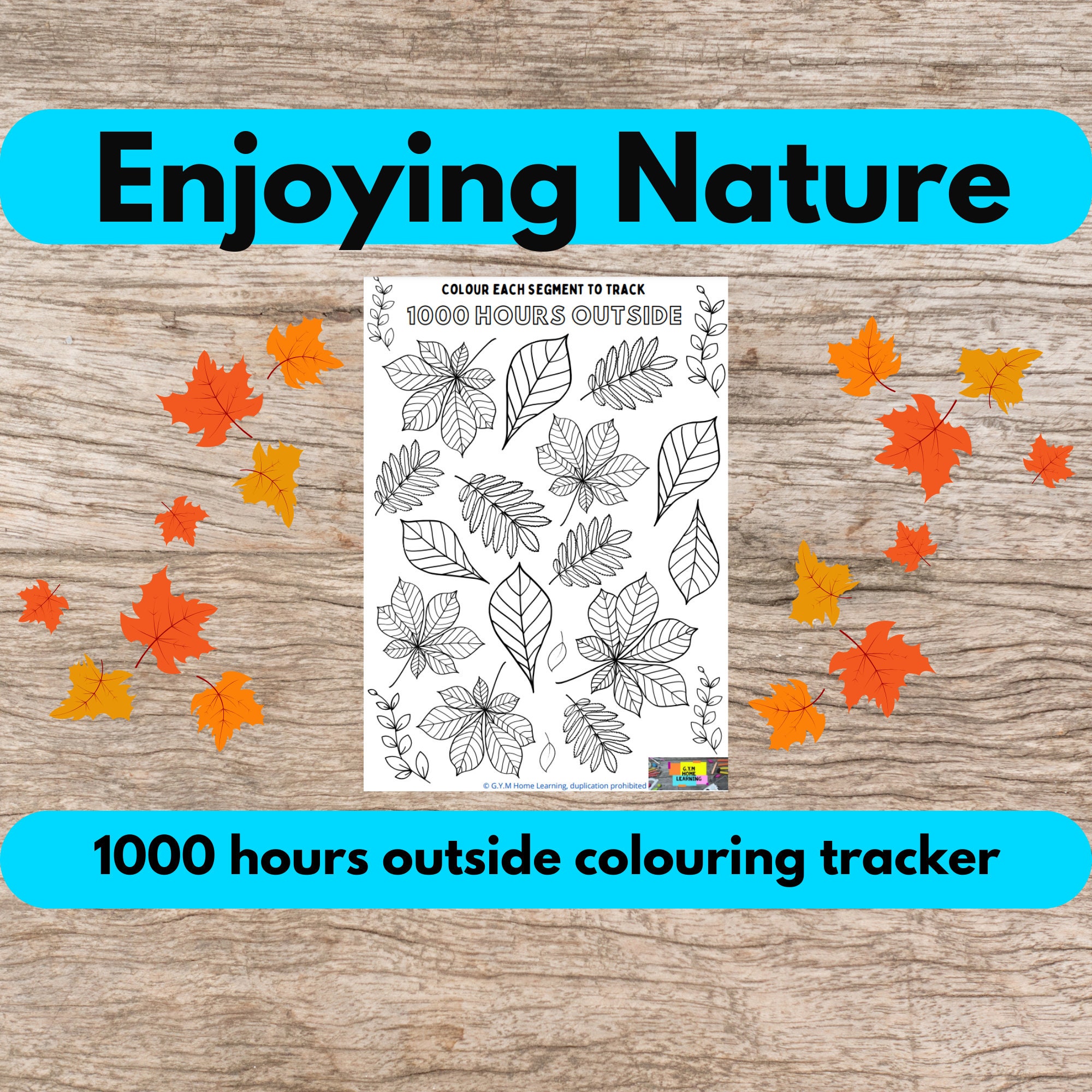 1000 Hours Outdoors Colouring Activity Sheet Home Education or Home ...
