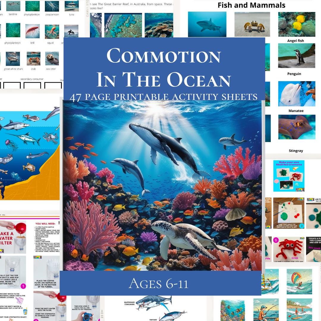Ocean and Sea Study Unit, Pirates Activities, Marine Animals - Whales ...
