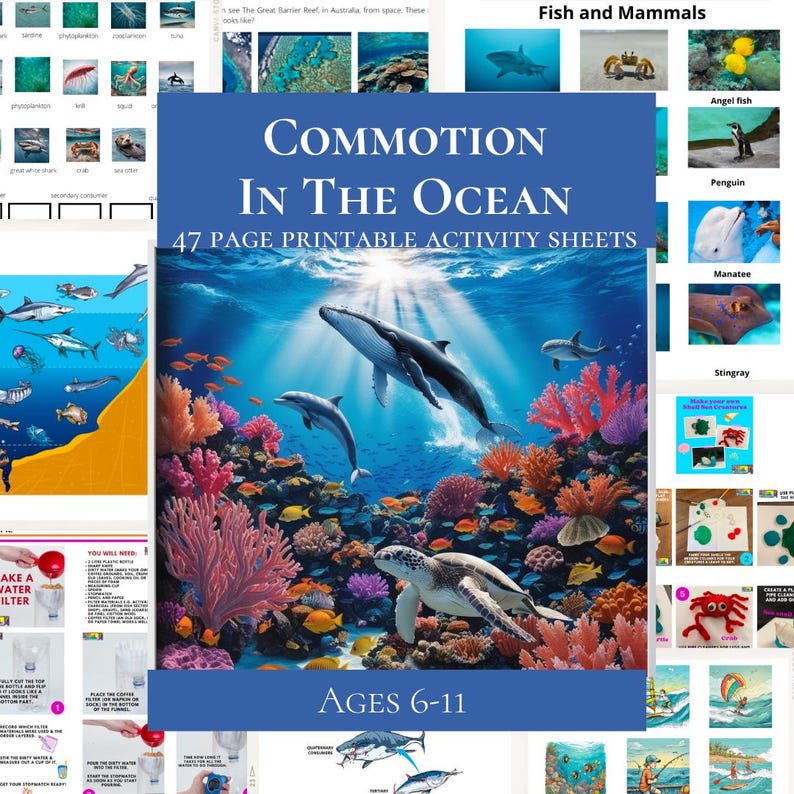 Ocean and Sea Study Unit, Pirates Activities, Marine Animals - Whales ...