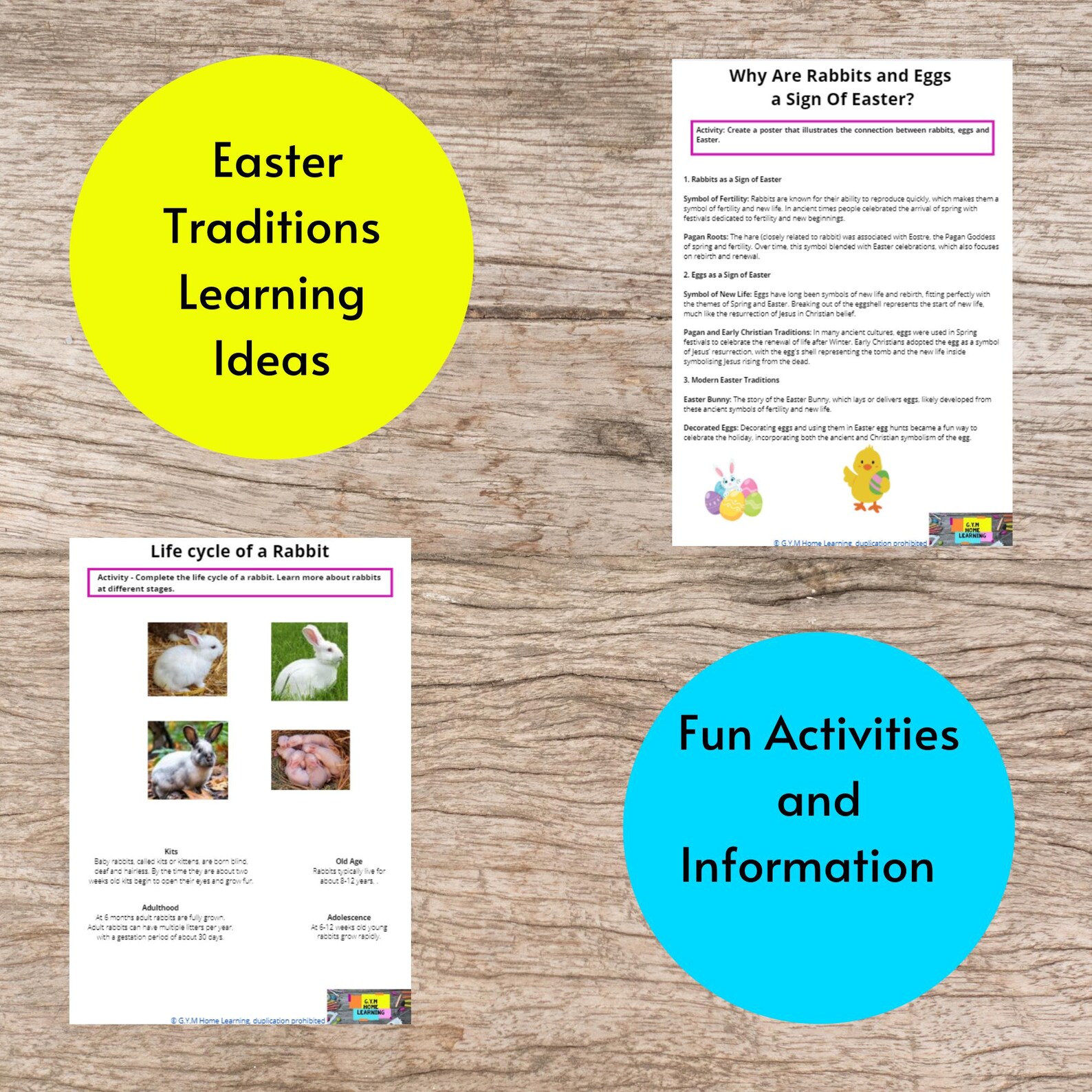 Easter Bunny Activity Pages, Easter History and Traditions, Family ...