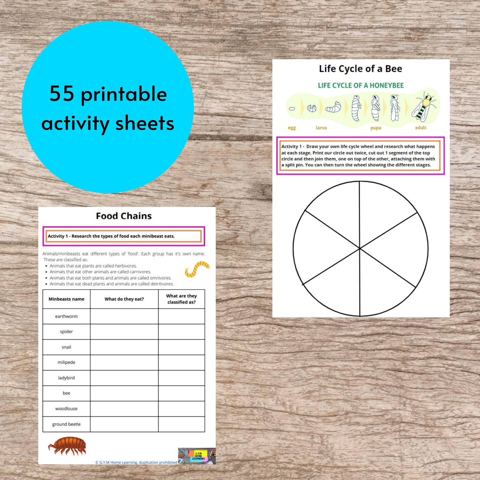 Bees and Minibeast Activity Pack Printable Insect, Worm, Beetle Unit ...