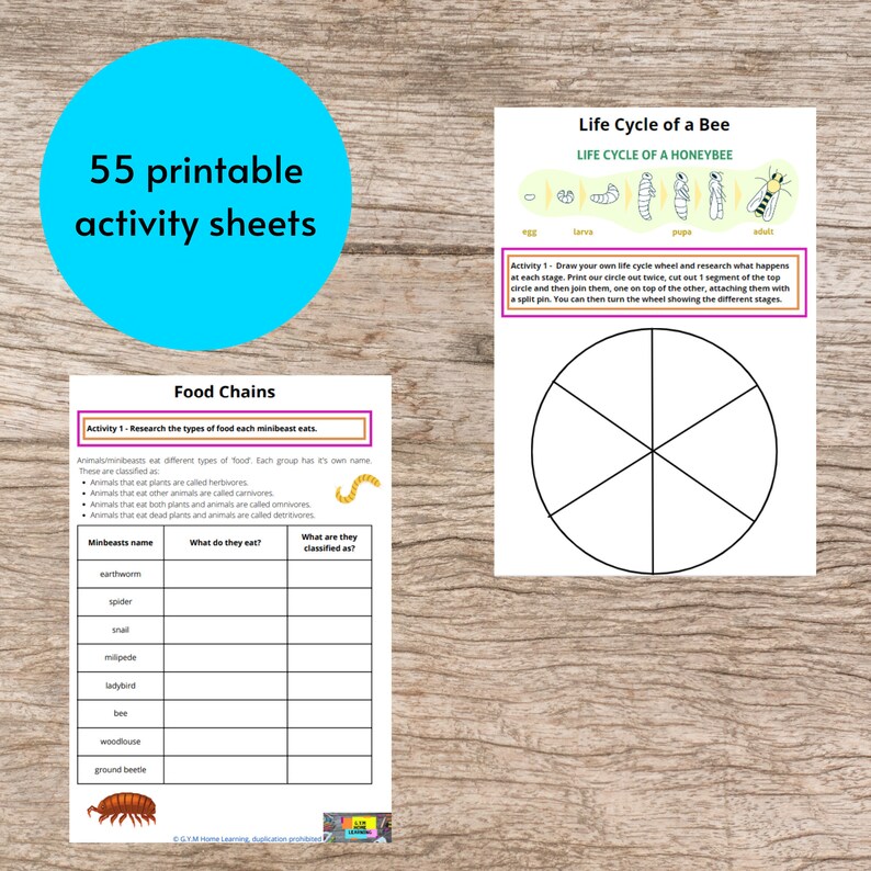Bees and Minibeast Activity Pack Printable Insect, Worm, Beetle Unit ...