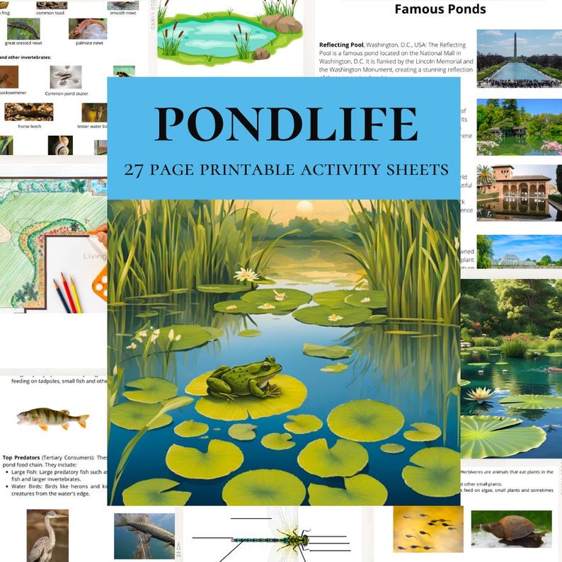 Pondlife Printable Activity Sheets, Natural Environment - Pond Wildlife ...