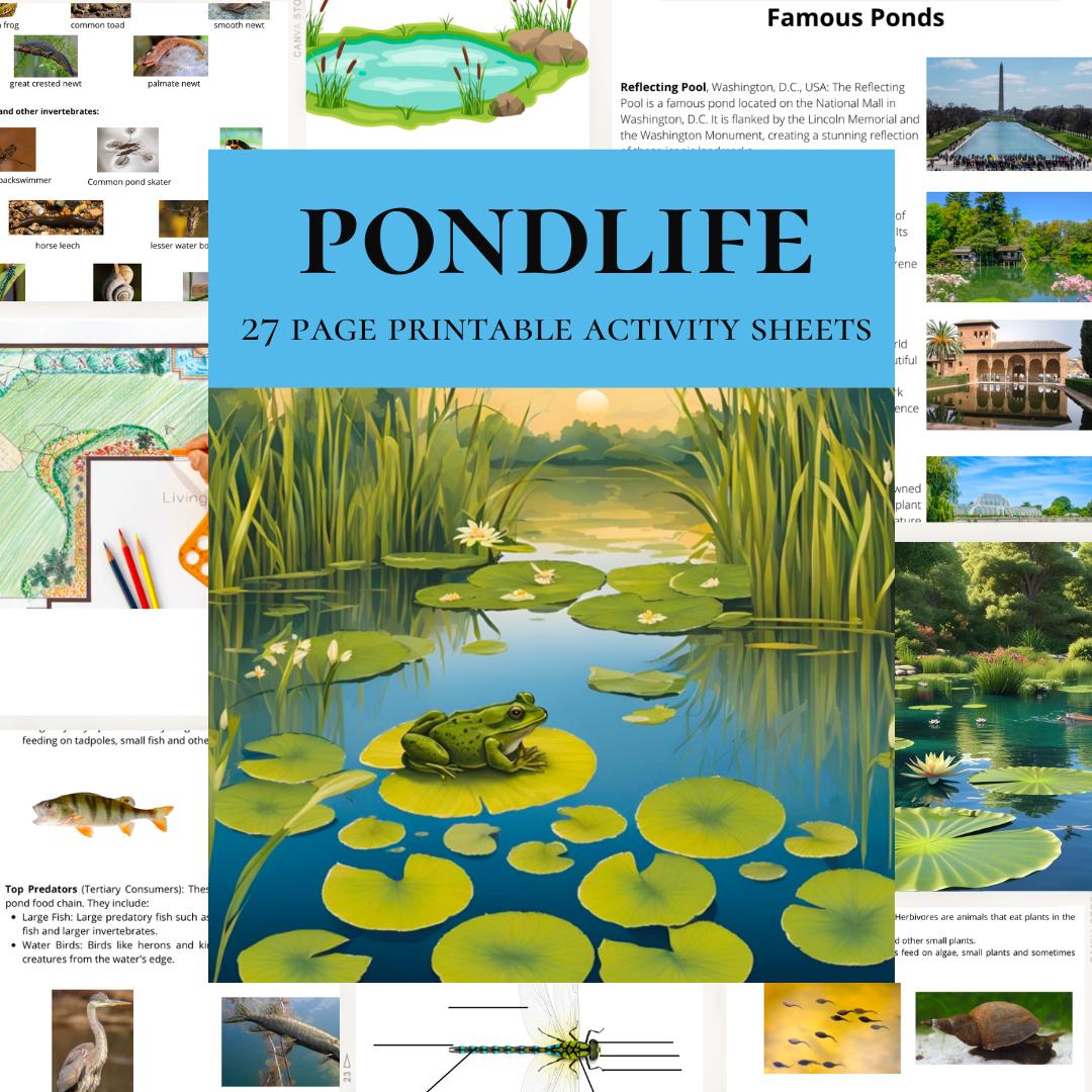 Pondlife Printable Activity Sheets, Natural Environment - Pond Wildlife ...