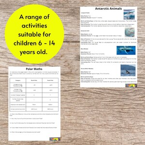 Polar Animals Study Unit for Kids, North and South Pole Worksheets Home ...