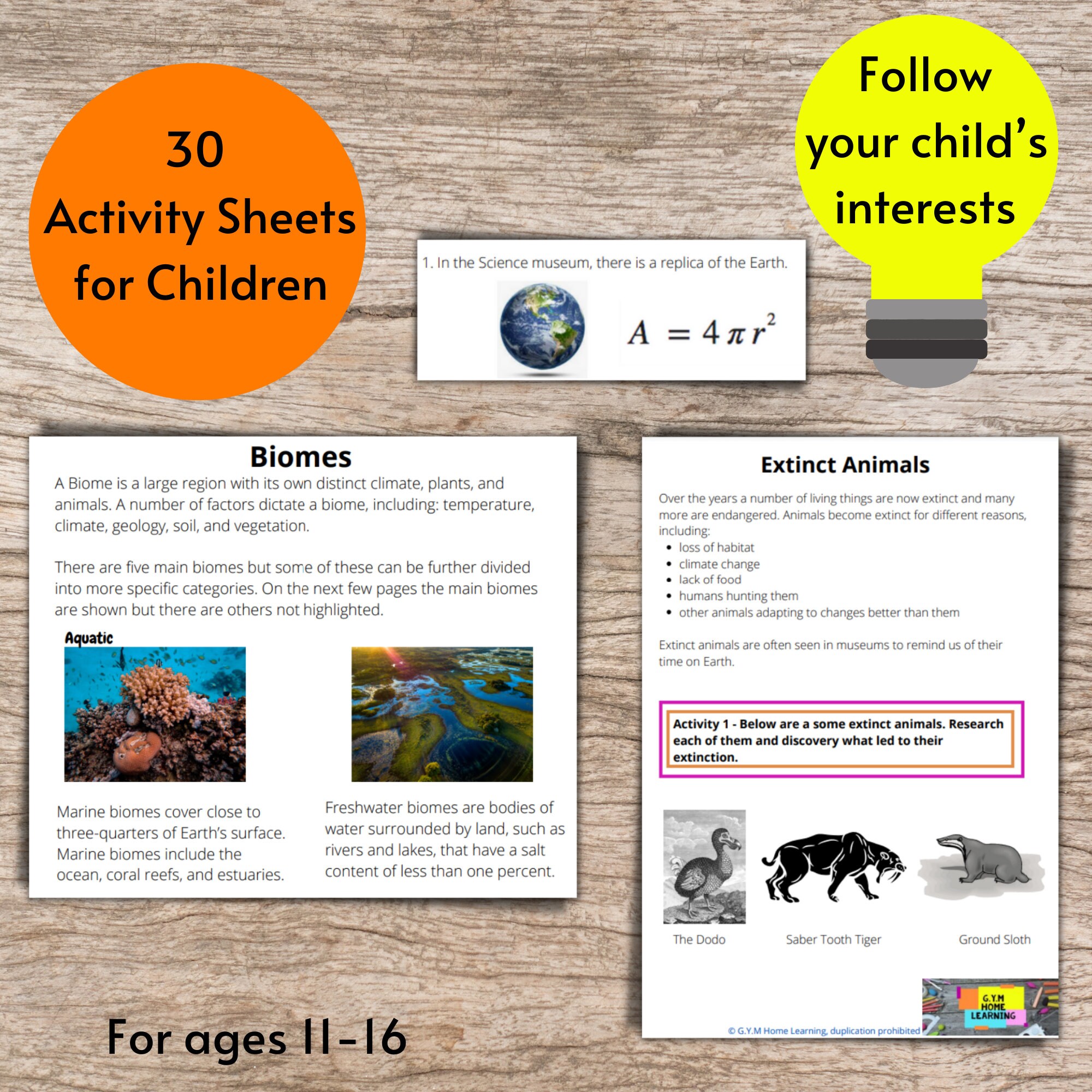 Museum and Zoo Printable Activities Home Education Kids Study Unit ...