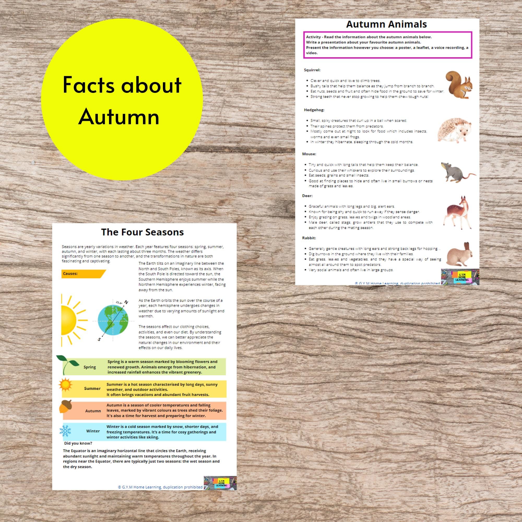 Autumn Activities Printable Nature Unit Study Indoor and Outdoor Fun ...