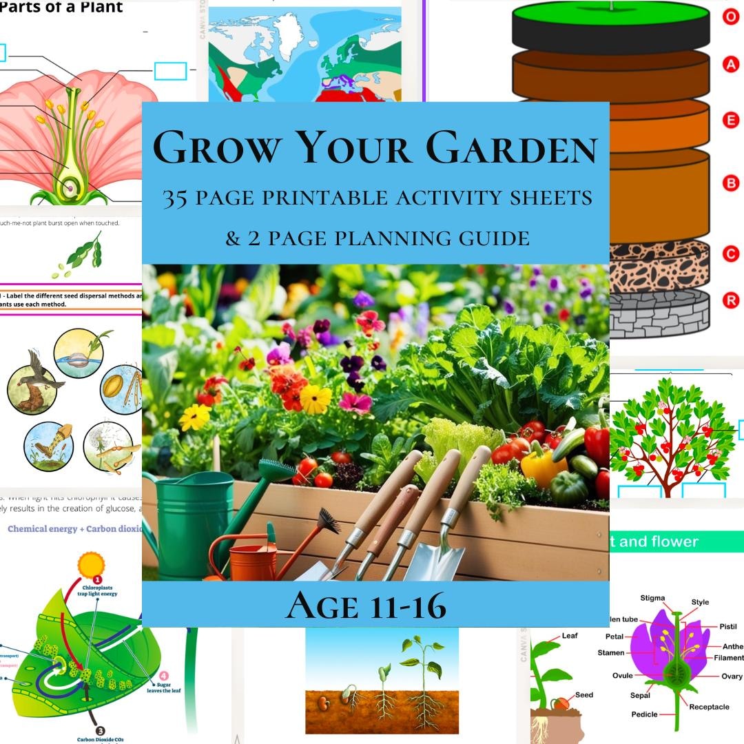 Kids Nature and Gardening Study Unit Plant Educational Worksheets With ...