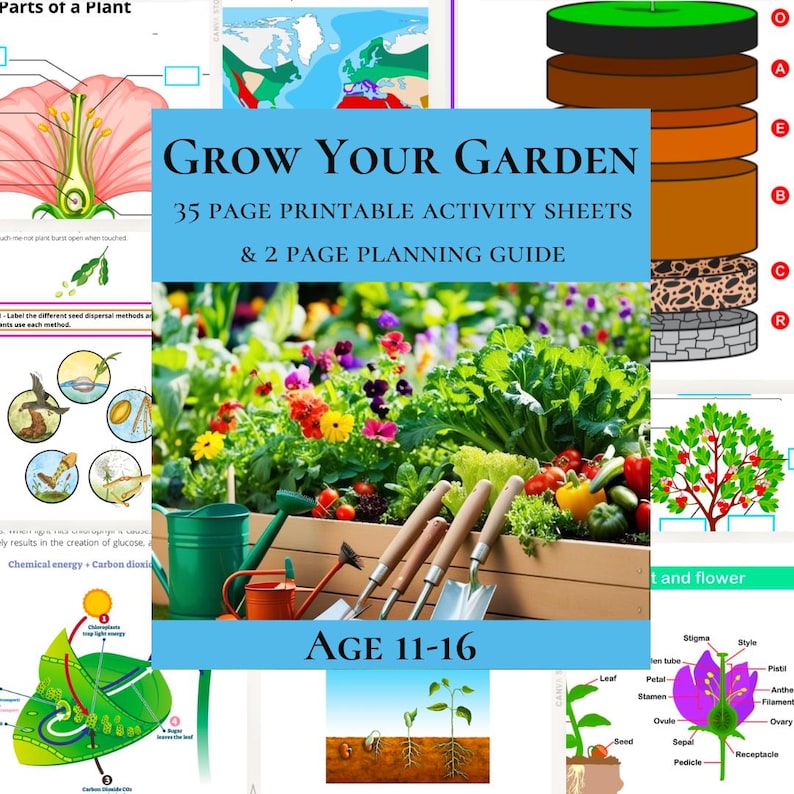 Kids Nature and Gardening Study Unit Plant Educational Worksheets With ...