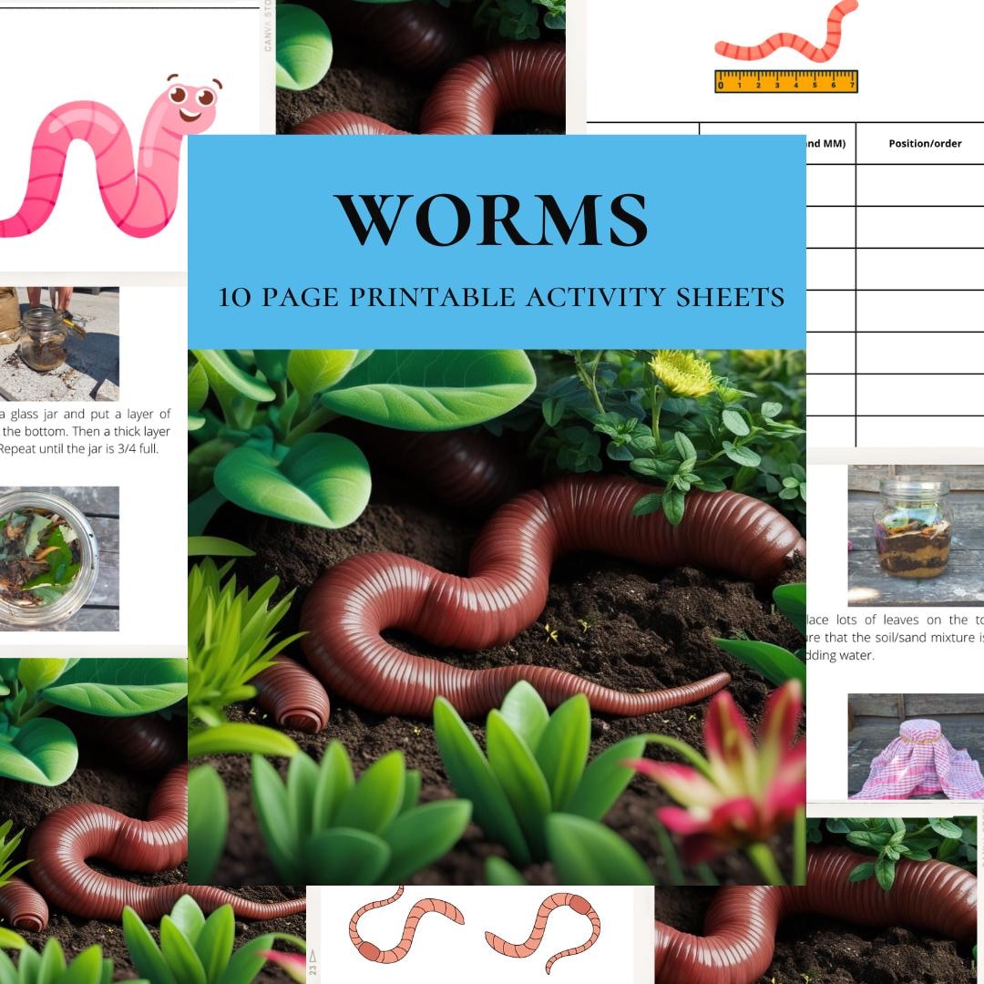 Earthworm Mini Study Unit Activities Digital Worm or Wormery Worksheets ...