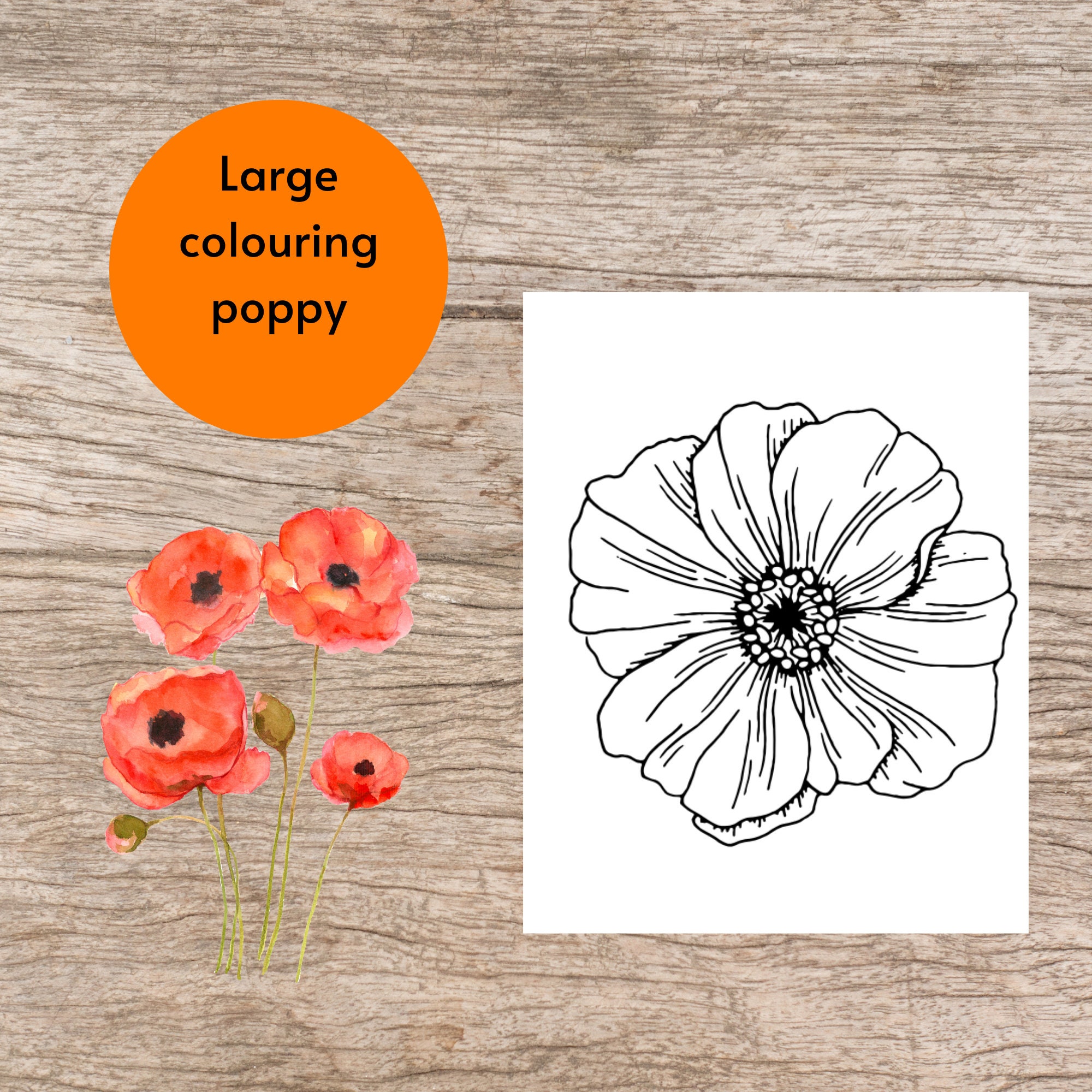 Remembrance Day Poppy Poem and Worksheet, Kids Printable WW1 ...