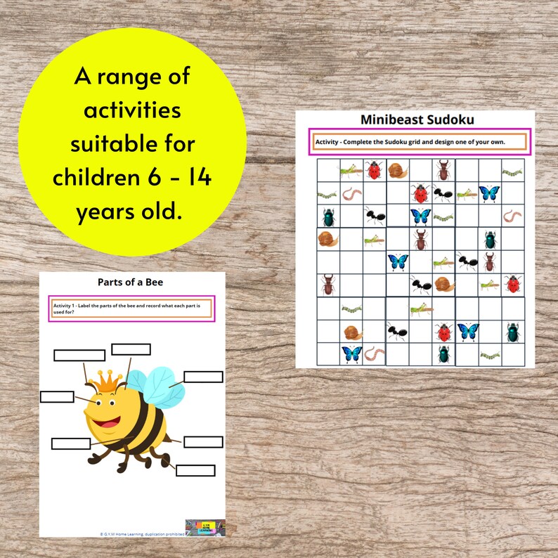 Bees and Minibeast Activity Pack Printable Insect, Worm, Beetle Unit ...