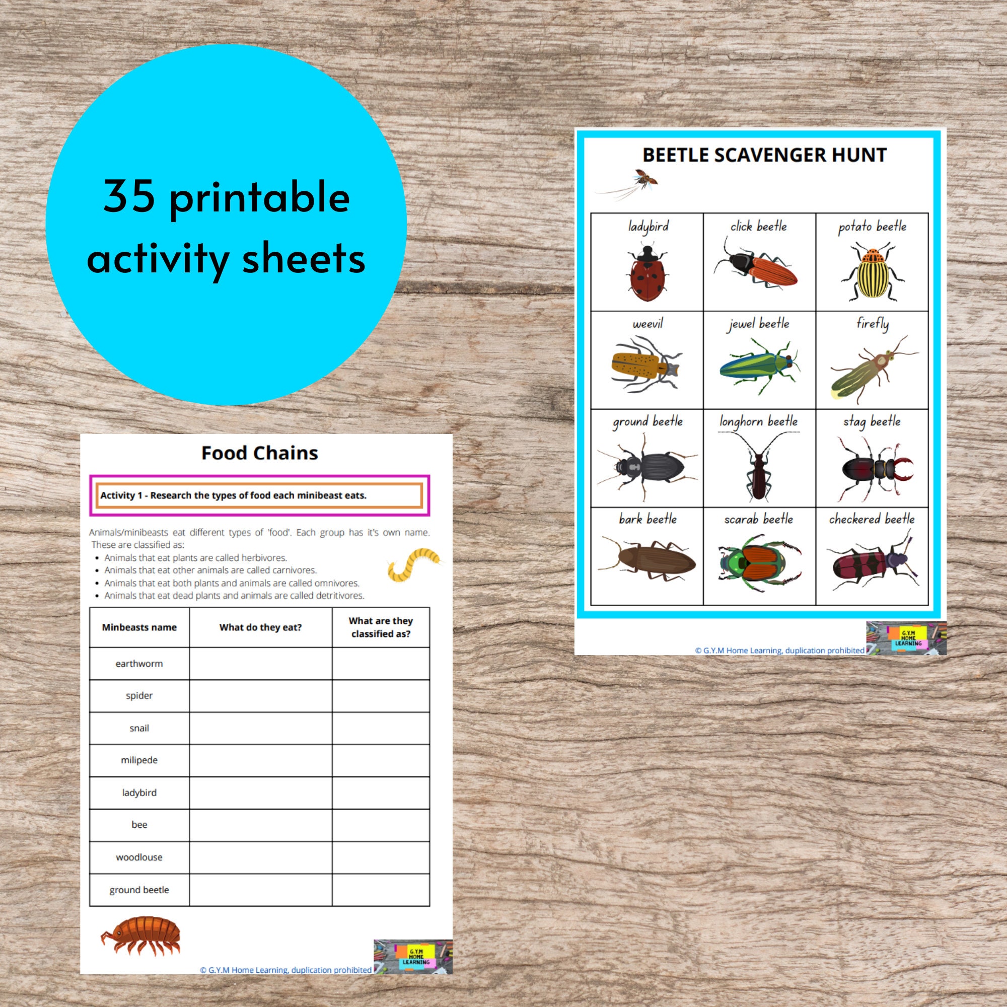 Insect and Bug Activities Printable Minibeast Unit Study Earthworm and ...