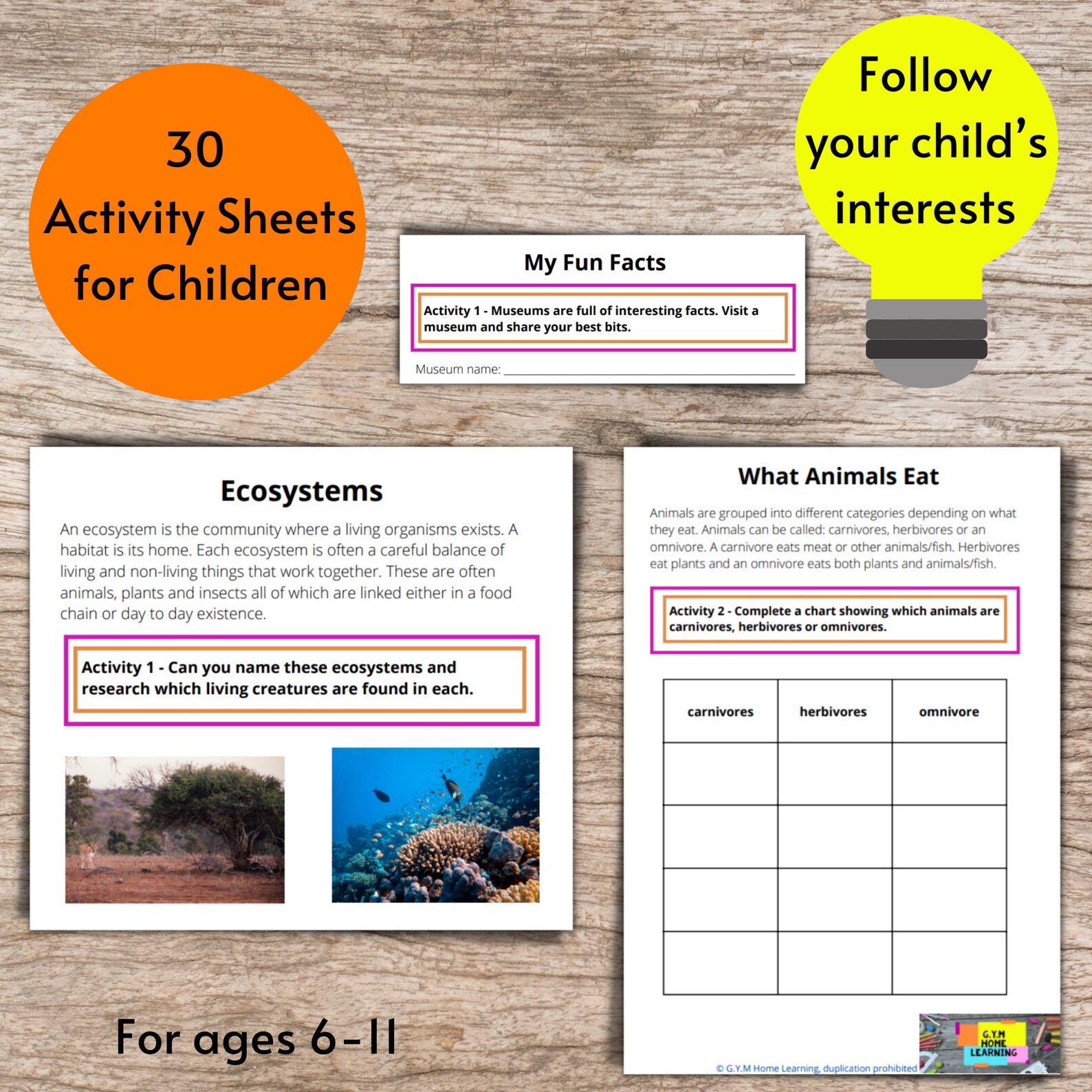 Animal or Museum Printable Kids Activities Fun Learning Pack With Worksheets and Plans Home ...