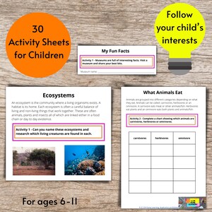 Animal or Museum Printable Kids Activities Fun Learning Pack With ...