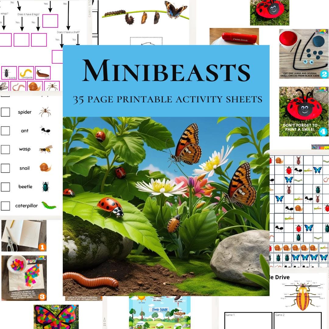 Minibeast Study Unit Kids Nature Project Learning - Insects, Earthworm, Beetle Outdoor ...