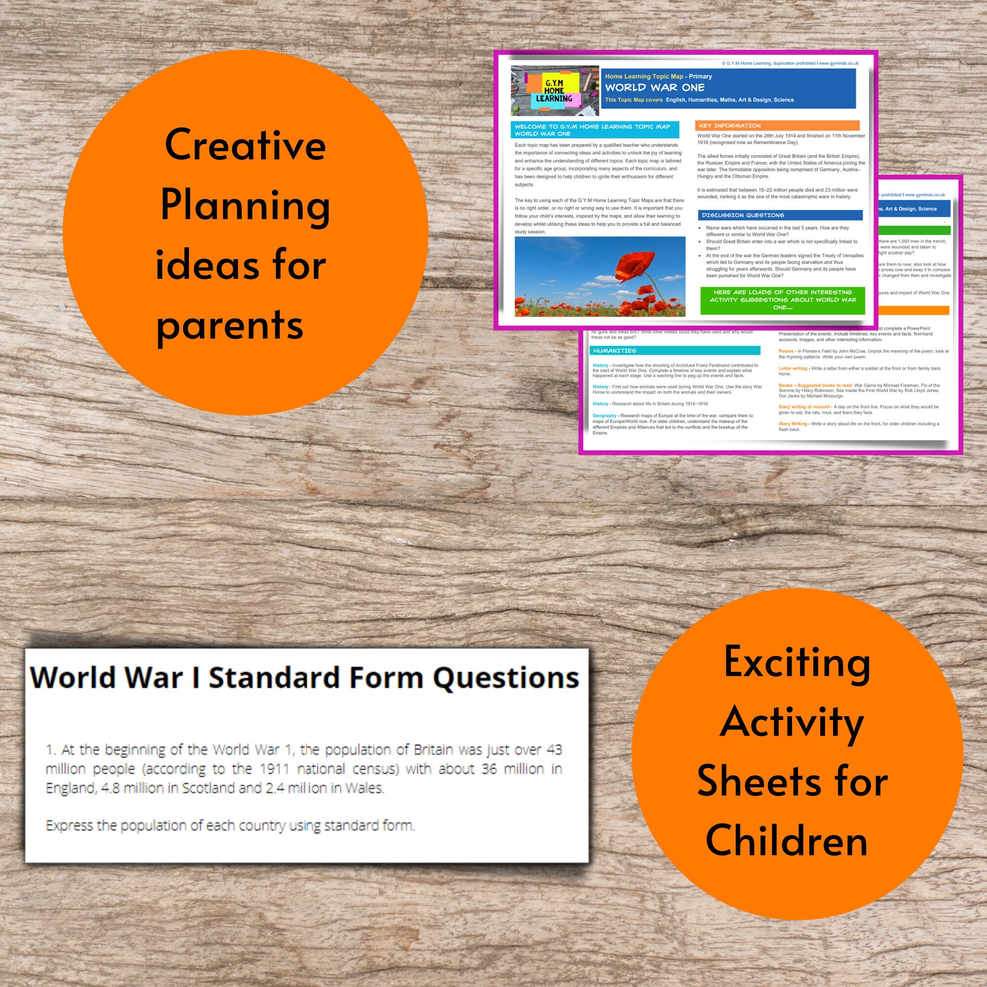 World War I Remembrance Day Study Unit Digital Worksheets and - Etsy UK