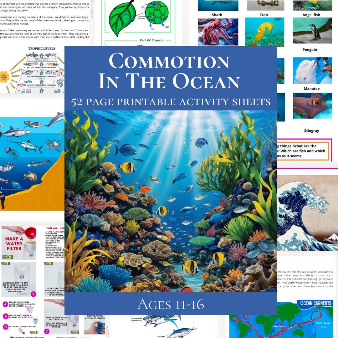 Ocean and Under the Sea Study Unit, Marine Ecosystem -ocean Animals and ...