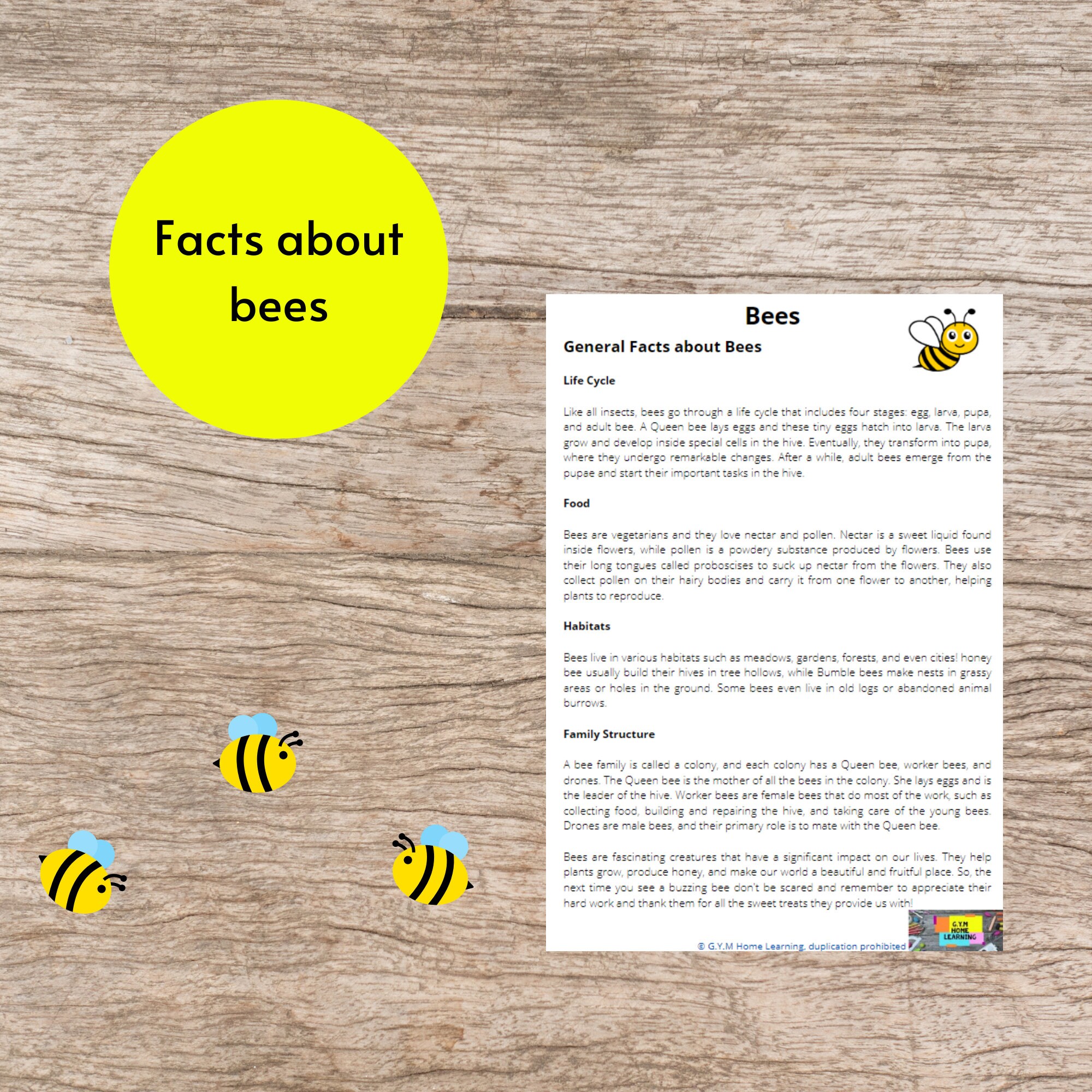 Bee Activity Sheets and Craft Printable Bee Life Cycle and Anatomy Unit ...