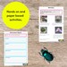 Bees and Minibeast Activity Pack Printable Insect, Worm, Beetle Unit ...