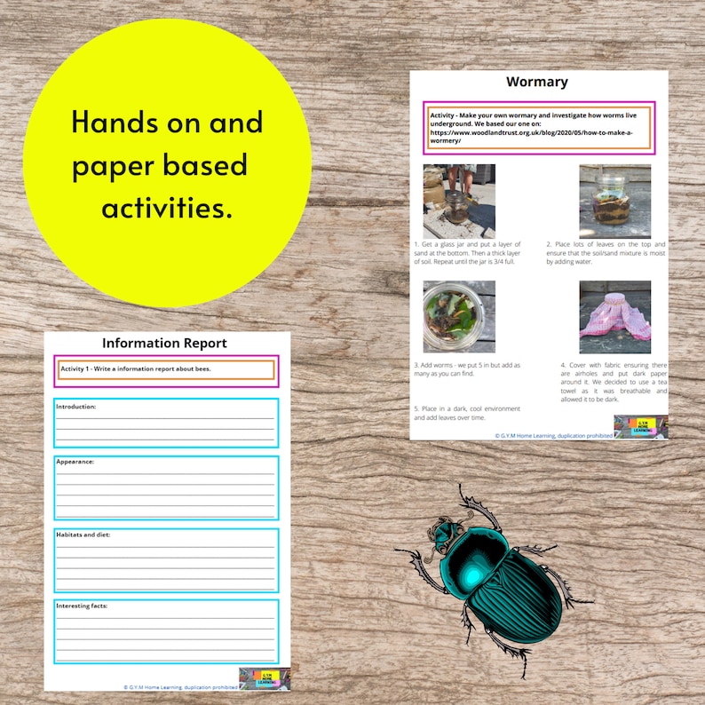Bees and Minibeast Activity Pack Printable Insect, Worm, Beetle Unit ...