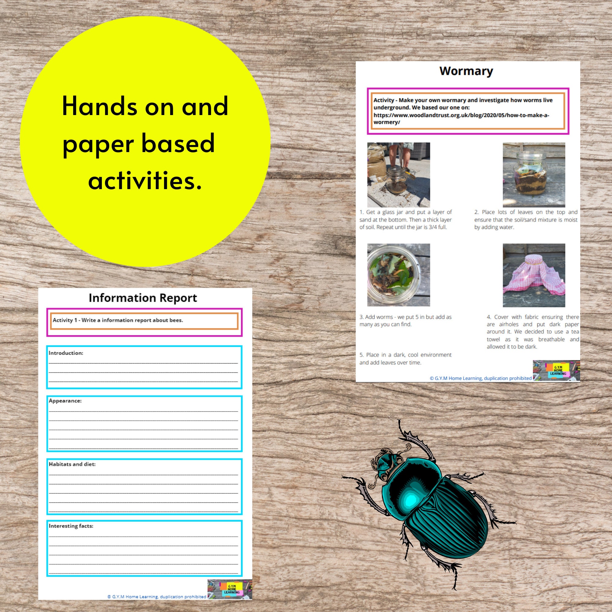 Bees and Minibeast Activity Pack Printable Insect, Worm, Beetle Unit ...