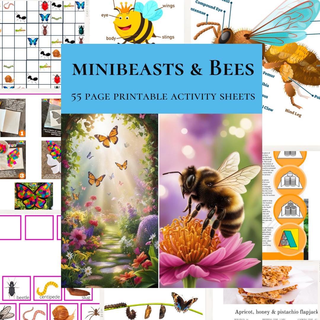 Bees and Minibeast Study Unit Printable Insect, Worm, Beetle Activity ...
