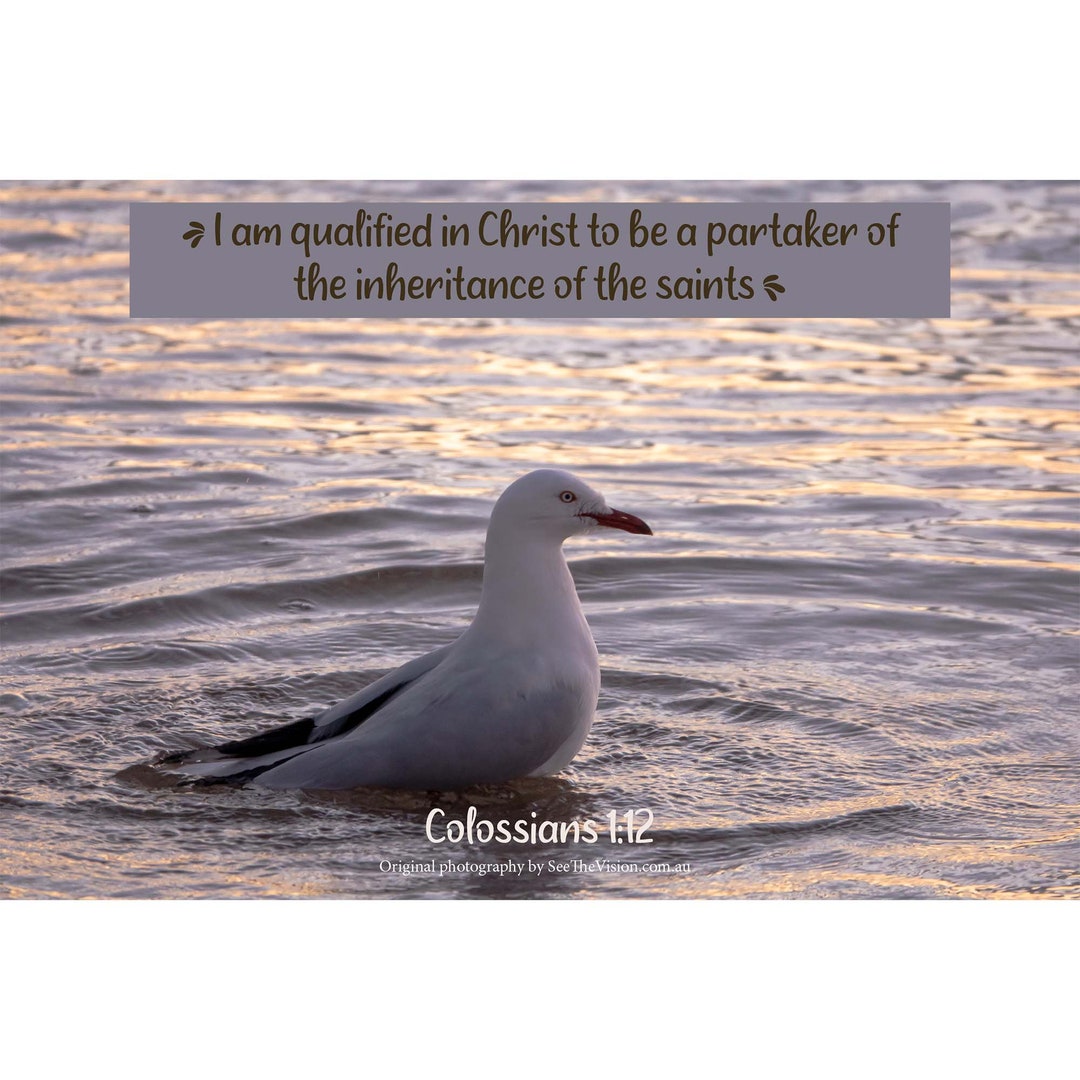 Seagull Bathing in Ocean Sunlit With Inspirational Bible Verse ...