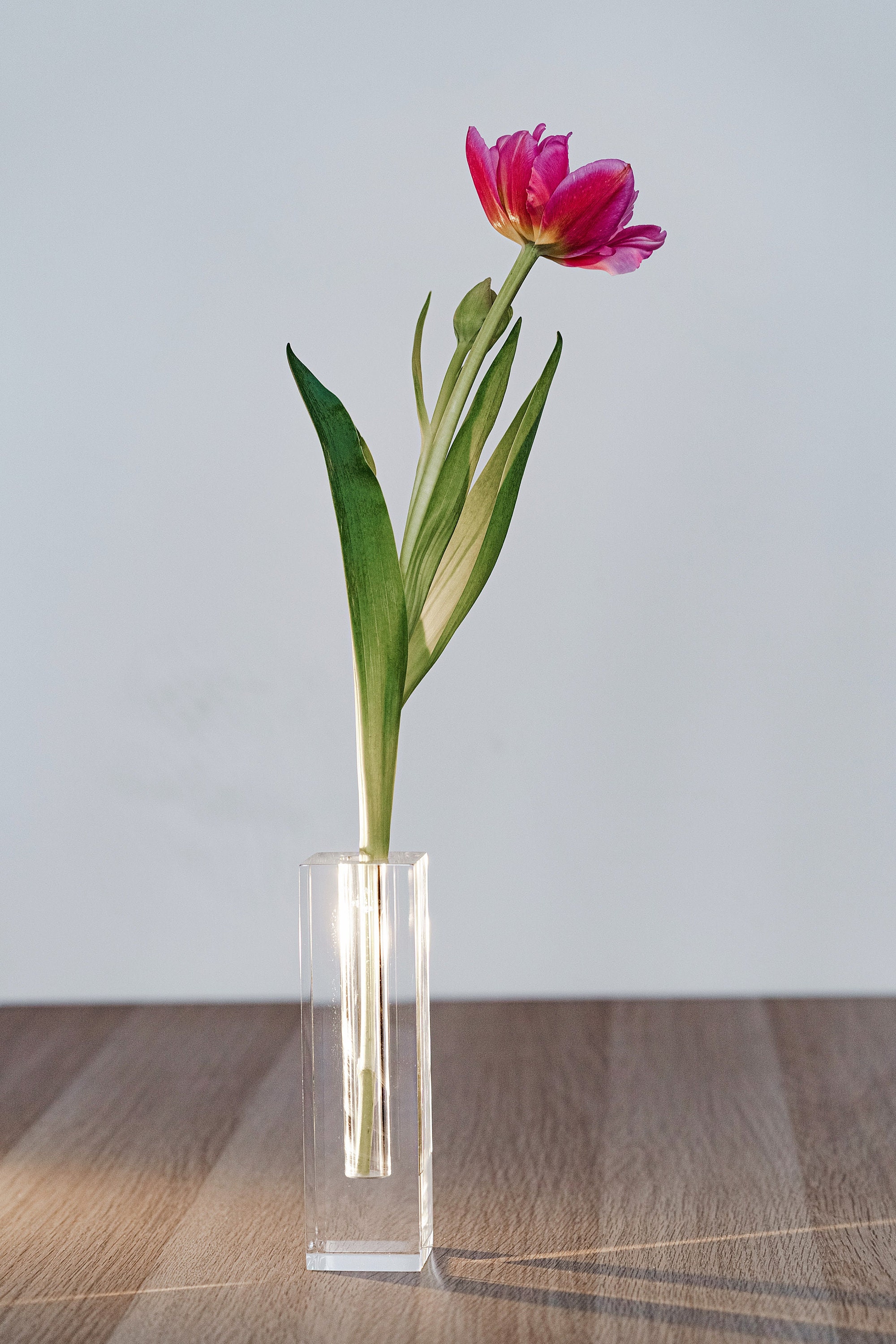Lucite Minimalist Vase - Etsy